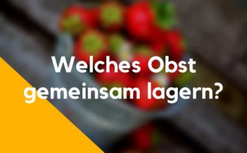 Obst lagern | 5 beliebte Methoden im Vergleich | + Alle Infos